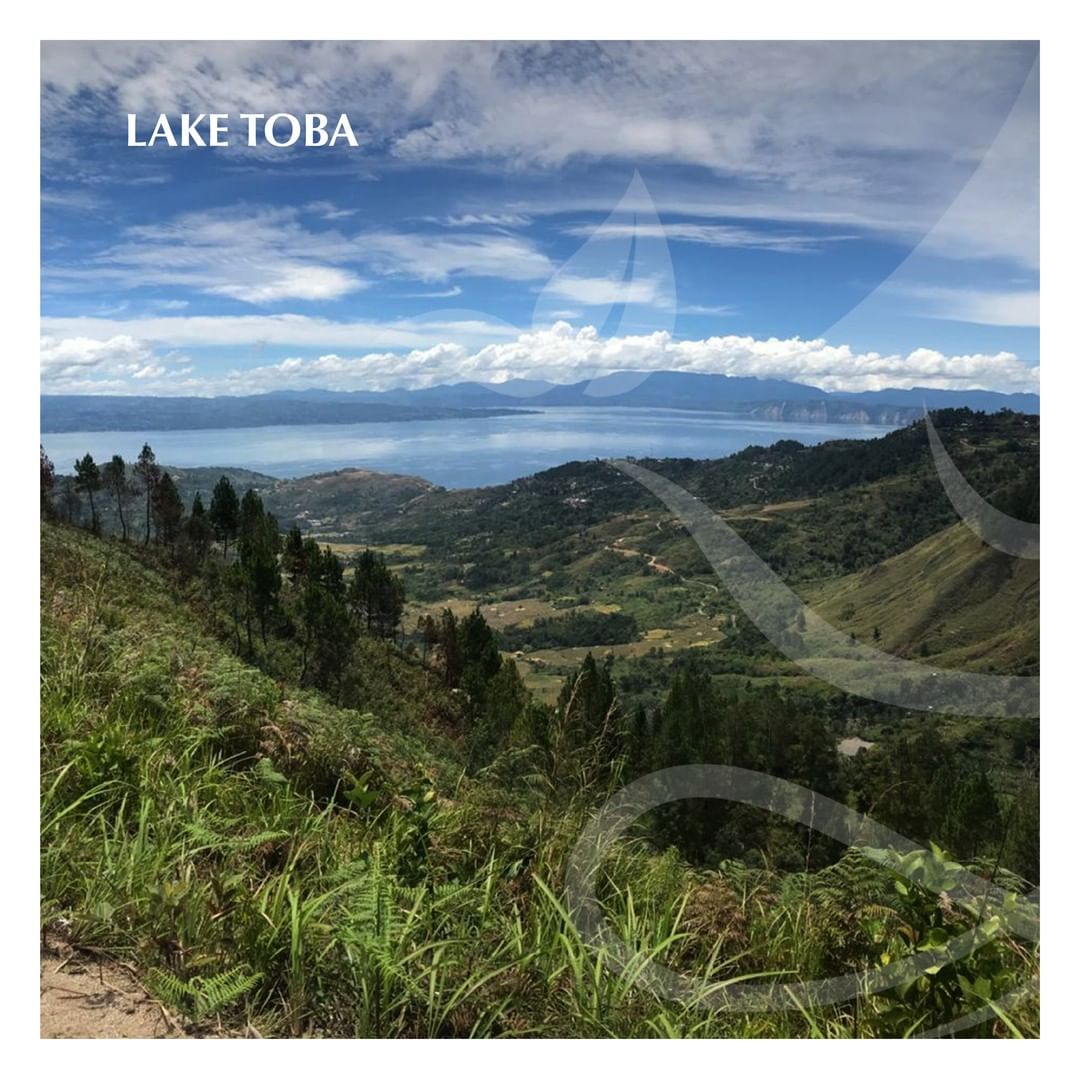 Our story – villasumatracoffeecompany